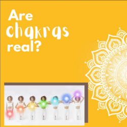 Tribe International Yoga Teacher Training Registered School